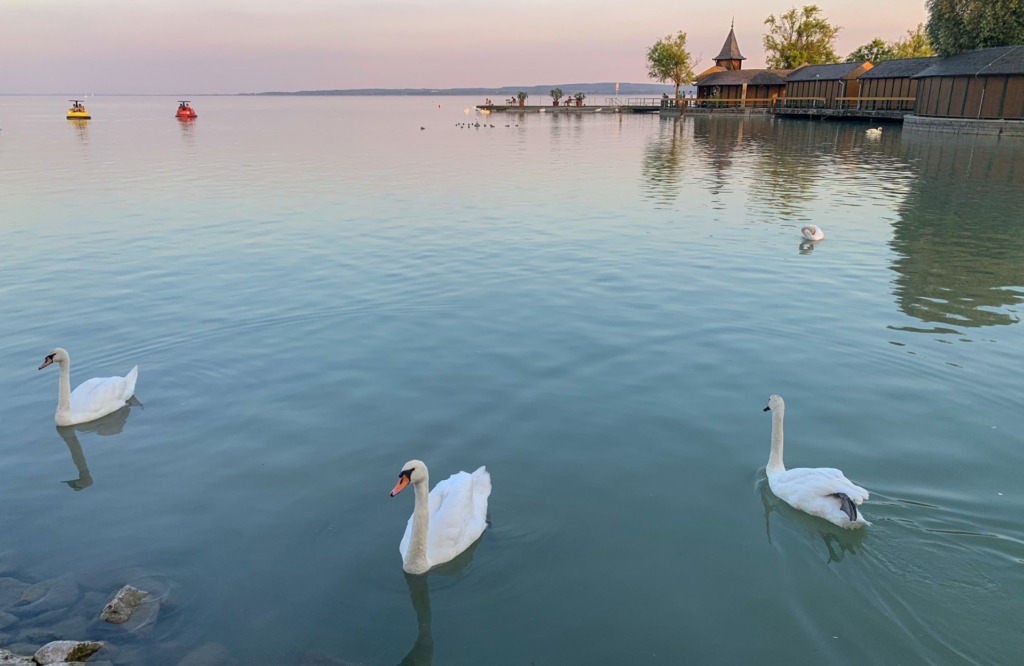 Lake Balaton: A Local’s Guide to Hungary’s Largest Lake