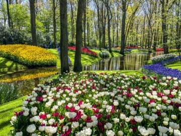 Netherlands Itinerary: How to Spend 4 Days in the Netherlands